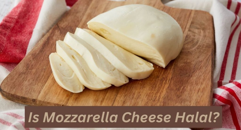 Buffalo Mozzarella Cheese Halal at James Glenn blog