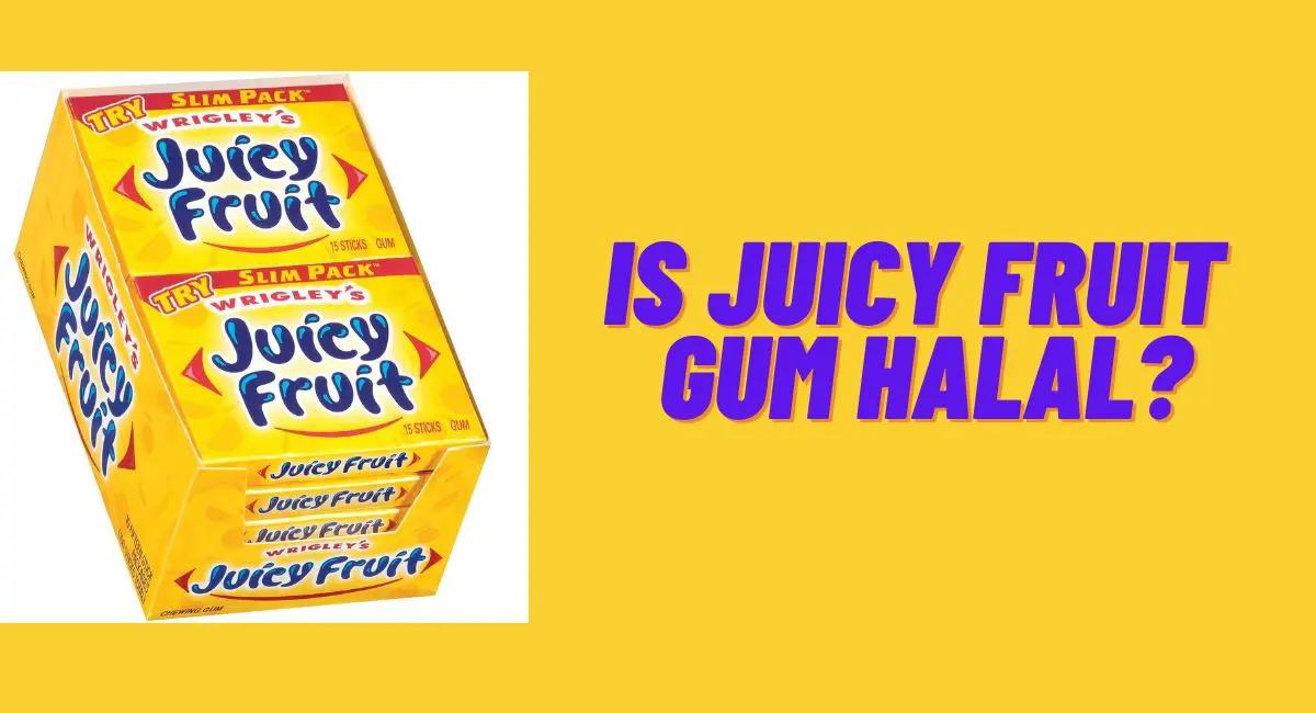 Is Juicy Fruit Gum Halal Or Haram?