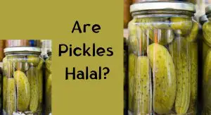 Is Yogurt Halal Or Haram?