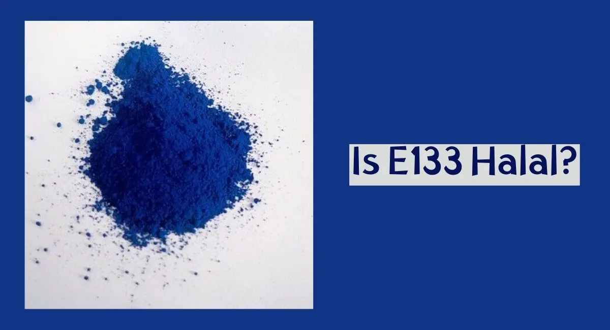 Is E133 Halal Or Haram?