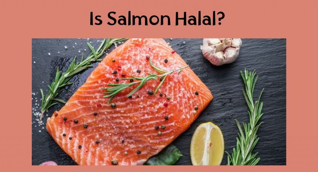 Is Salmon Halal Or Haram?